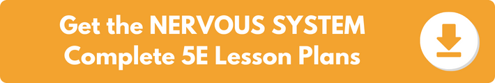 Nervous System Lesson Plan – A Complete 5E Method Science Unit